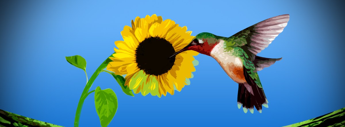 Voices of Hope Fundraiser – amanda kate weber